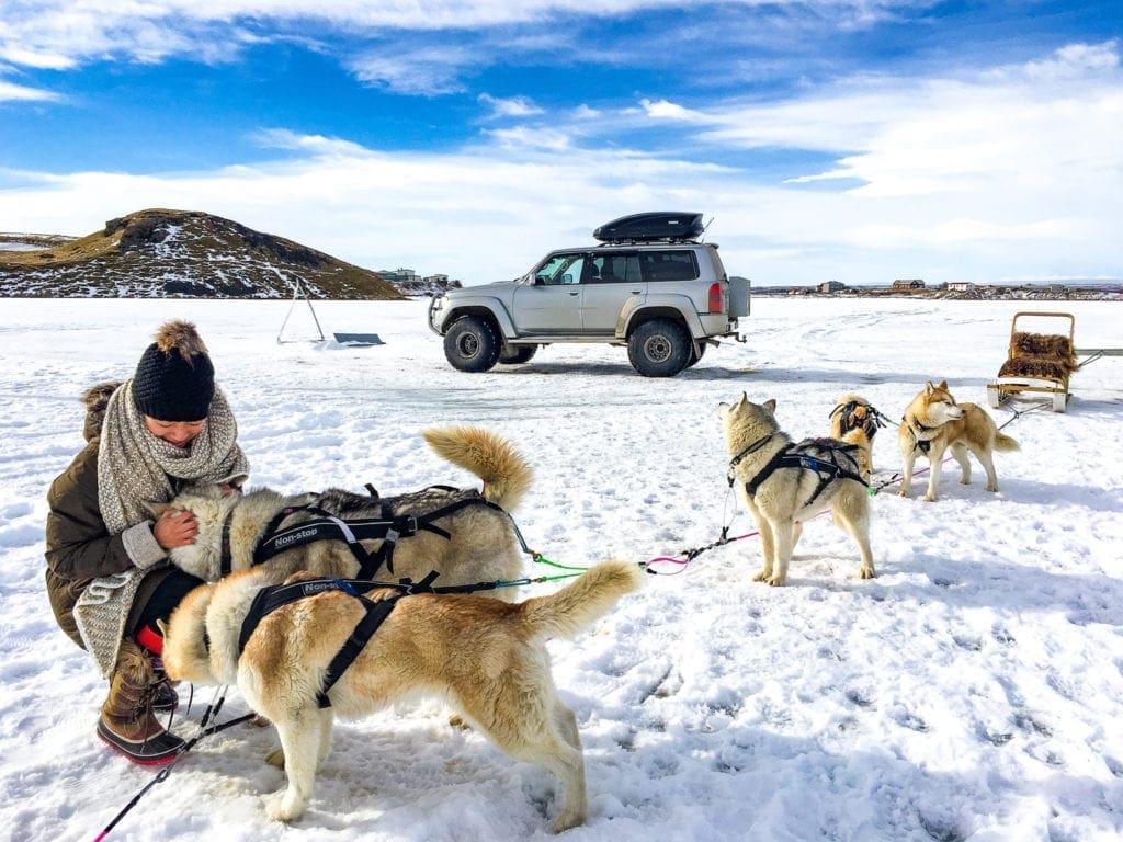 Snow Dogs: A Memorable Dog Sledding Experience in Iceland • Simply Angella